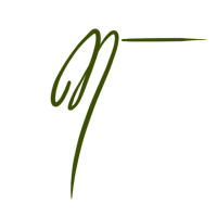 Tchaikovsky Understands: A Reflection on Music, Shadow Work and ...